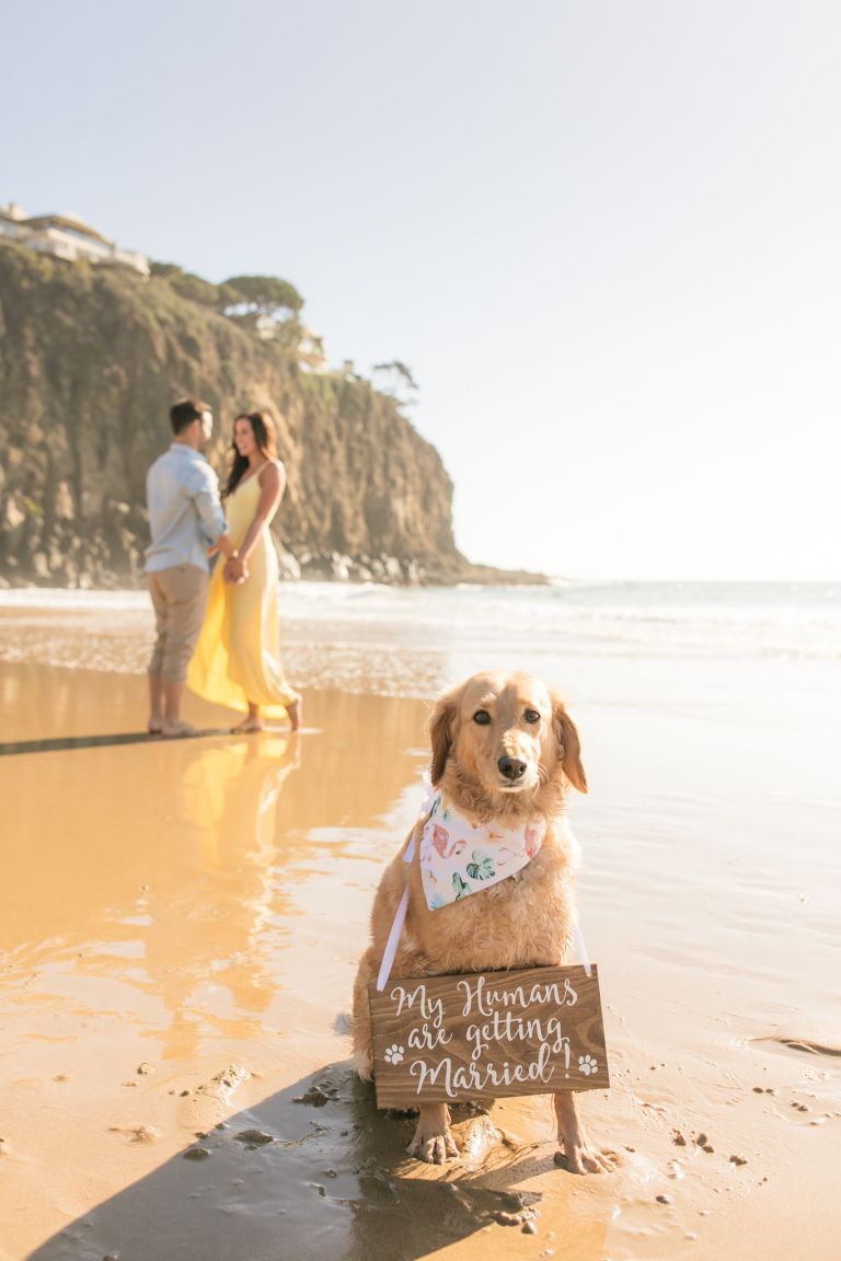 Orange County Wedding Photographer Los Angeles